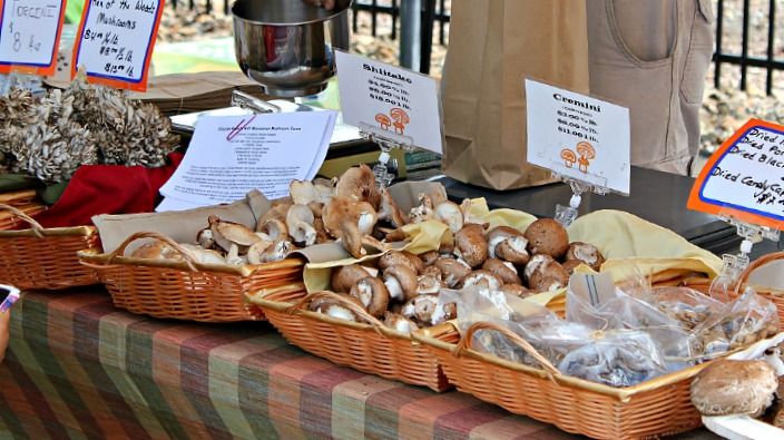 Ambler Farmer's Market - Allison Wolf | Ambler Area Real Estate Specialist