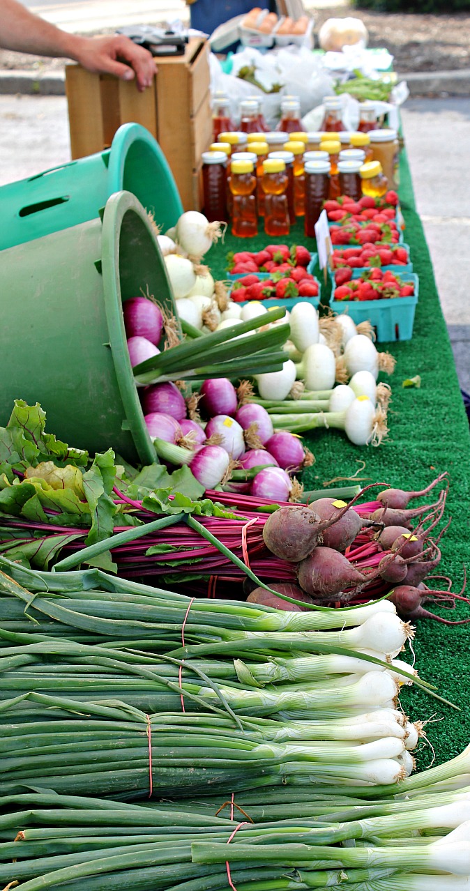 Ambler Farmer's Market - Allison Wolf | Ambler Area Real Estate Specialist